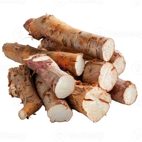 Fresh Cassava Roots Cut Into Sections Displayed On White Background For