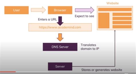 Apis Flashcards Quizlet