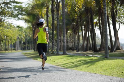 在热带公园运行的体育运动青年高清图片下载 正版图片505370109 摄图网