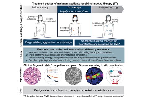 Anna Obenauf Metastasis And Drug Resistance Research Institute Of