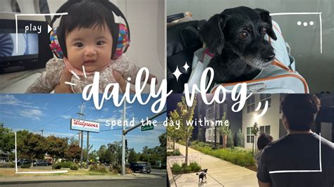 Vlog 4개월 아기 55kg 강아지와 함께한 대한항공 비즈니스 한국🇰🇷에서 미국🇺🇸으로 첫 브이로그🫶🏻 두근두근 Youtube