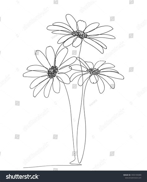 3 Daisy Line Art Over 59601 Royalty Free Licensable Stock