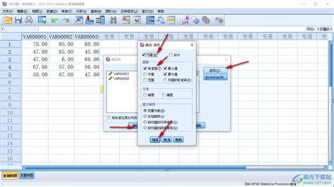 Spss如何标准化数据？ Spss软件标准化数据的方法 极光下载站