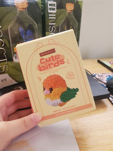 Temu Mini Haul Rlepin