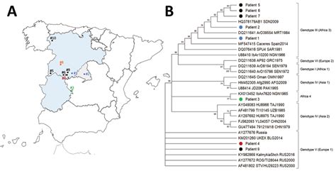 Locations Of Cchf Cases A And Phylogenetic Tree Of Cchfv B In