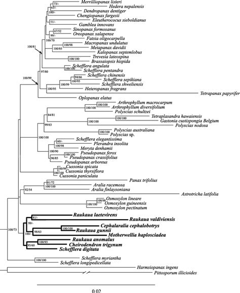 The Optimal Maximum Likelihood Ml Tree Showing Bayesian Posterior