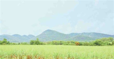 宮本武蔵の名言15選