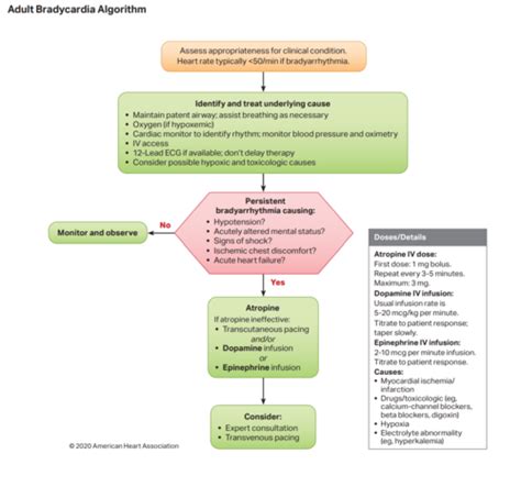 ACLS Algorithms Flashcards Quizlet