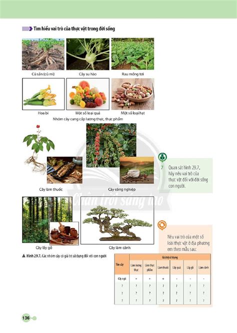 shs khoa hoc tu nhien LAI NT Trang PDF lật trang trực tuyến PubHTML