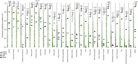 Sex Differences In Gene Expression And Regulatory Networks Across Human Tissues Cell Reports