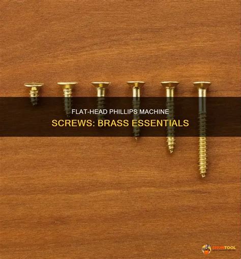 Flat Head Phillips Machine Screws Brass Essentials Shuntool
