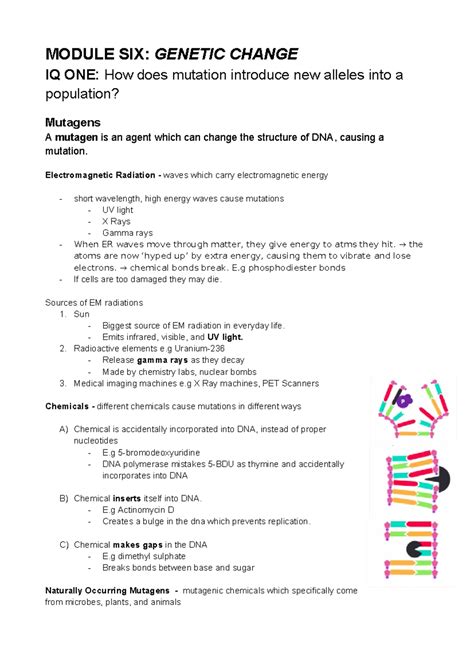 Module SIX Mutations MODULE SIX GENETIC CHANGE IQ ONE How Does Mutation Introduce New