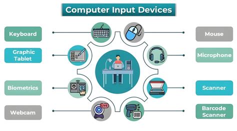 Computer Input Device And Output Devices Guide And Examples Lucky Falcon