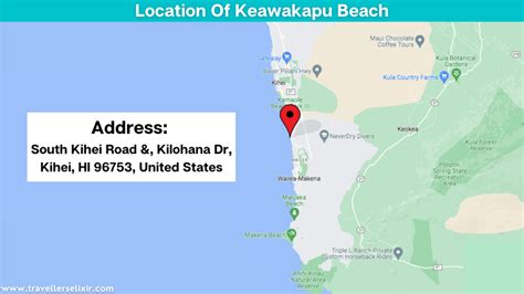 Where To See Turtles In Kihei Complete Guide