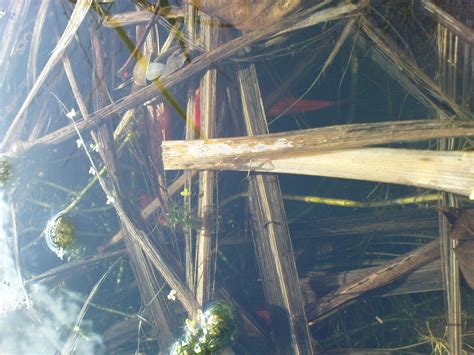 Lab333style Layers Of Reflections