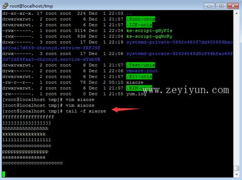 Php是什么？php有什么优势？ 泽易云博客