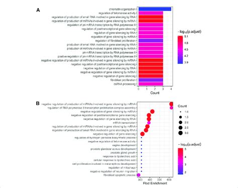 A The Bar Plot Shows The Hub Genes Enriched Top 20 Bp Items Ranked By