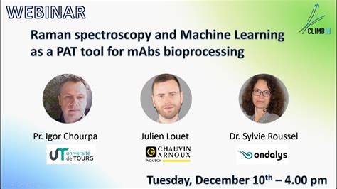 Raman Spectroscopy And Machine Learning As A Pat Tool For Mabs