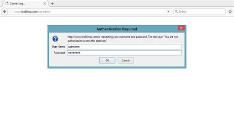 Easy Steps To Protect Your Wordpress Wp Adminadmin Url Looklinux