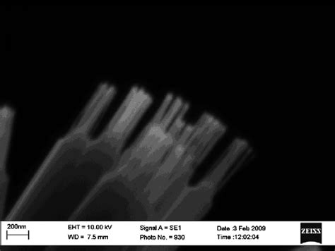 Sem Image Of The Cross Section Of The Zno Nanorods Arrays Grown On Si Download Scientific