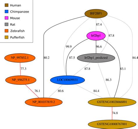 A Connected Component Of The Similarity Graph See Section Experiments Download Scientific
