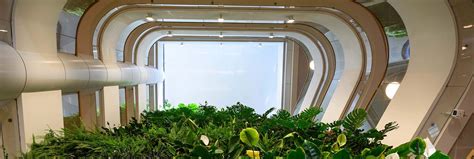 Weizmann Institute And Max Planck Society Create Joint Postdoctoral Program Weizmann Canada