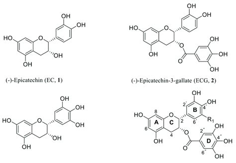 Structures Of Epicatechin Ec 1 Epicatechin 3 Gallate Ecg