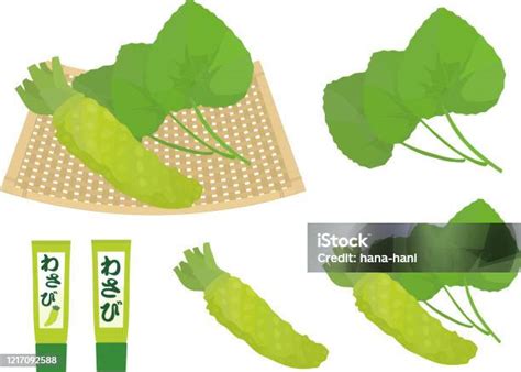Vector Illustration Of Wasabi And Leaves On Basket With Wasabi Paste