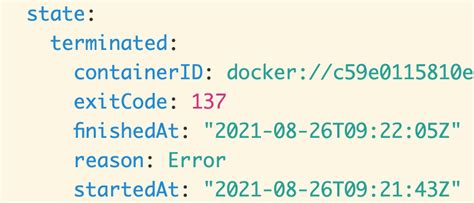 Docker Container Runs Correctly When Running Standalone But Crashes