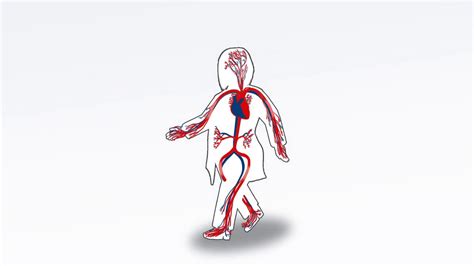 Даралт ихсэлт гэж юу монгол хадмалаар Youtube