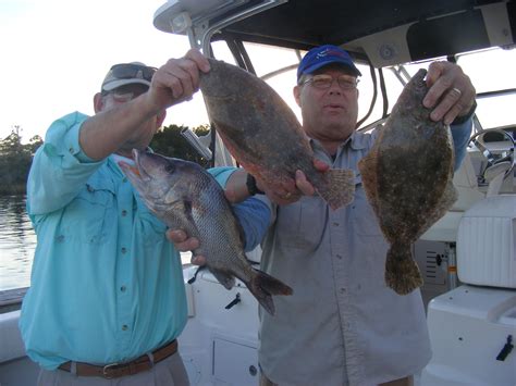Hal Wilson Sea Hag Marina And The Shacks At Sea Hag