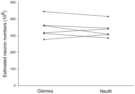 Estimated Number Of Neurons In Neocortex From NeuN And Giemsa Stained Download Scientific