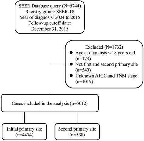 Flowchart Describing The Inclusion And Exclusion Of Patients
