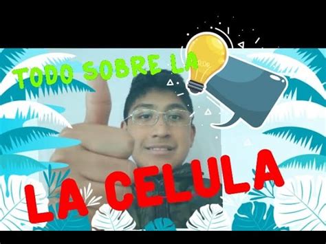 🤓 ¿quÉ Es Una CÉlula 👉 Funciones Y Estructura De La CÉlula 👀