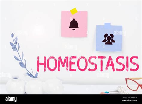 writing displaying text homeostasis business approach the tendency
