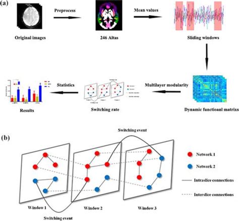 Resting State Functional Network Switching Rate Is Differently Altered In Bipolar Disorder And