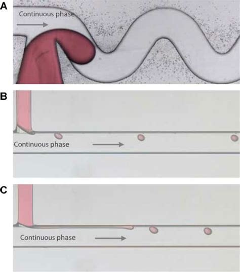 Different Modes Of Droplet Formation In A T Junction A Squeezing Download Scientific Diagram