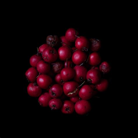 N O T H I N G L A S T S F O R E V E R On Behance