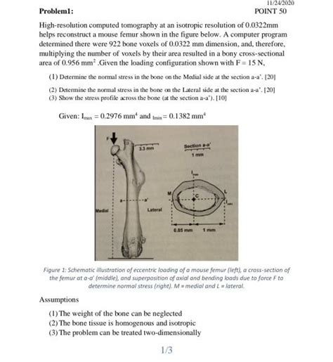 solved 11 24 2020 probleml point 50 high resolution