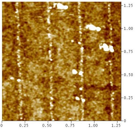 Field Coupling In Nanomagnets For Qca A Sem Micrograph Of Permalloy Download Scientific
