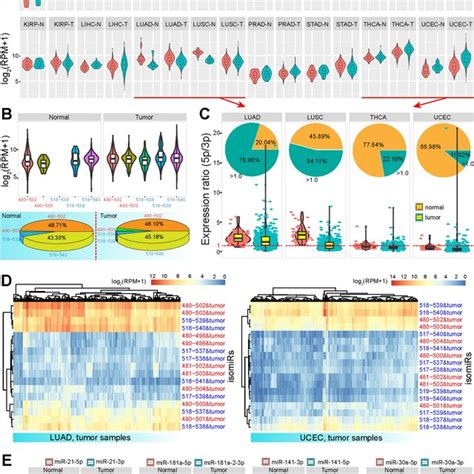 Expression Patterns Of Isomirs From The Two Arms A The Expression