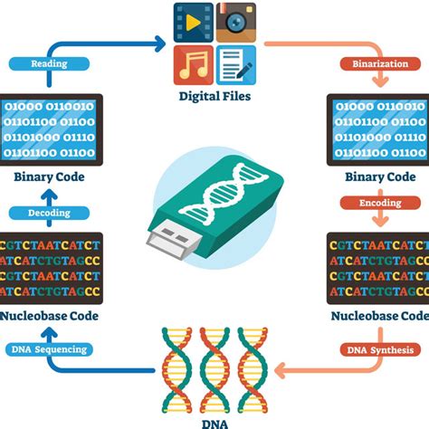 Dna Based Digital Data Storage Technology Download Scientific Diagram