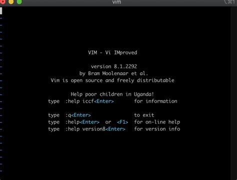Dont Fear The Command Line Text Editors Dev Community