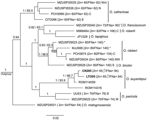 bayesian inference topology based on mitochondrial cytochrome b and