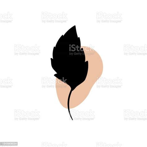 추상적인 둥근 지점이 있는 분기 예술적인 꽃 미니멀한 프린트 파스텔 방울이 있는 식물의 고립된 블랙 실루엣 잎 아크릴 잉크 방울현대 수채화 모양 벡터 요소 개념에 대한 스톡