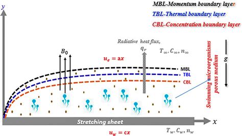 Flow Configuration Model Download Scientific Diagram