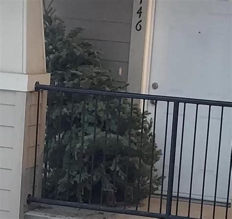 Isou Inscryption Edit R Kagurabachi