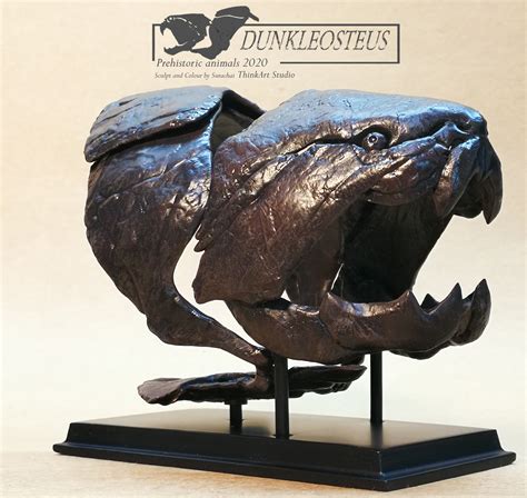 Dunkleosteus Skull
