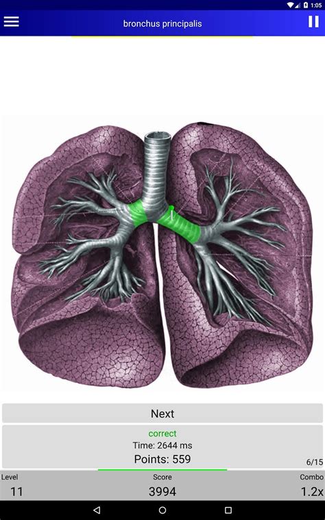 Anatomy Quiz For Android Download
